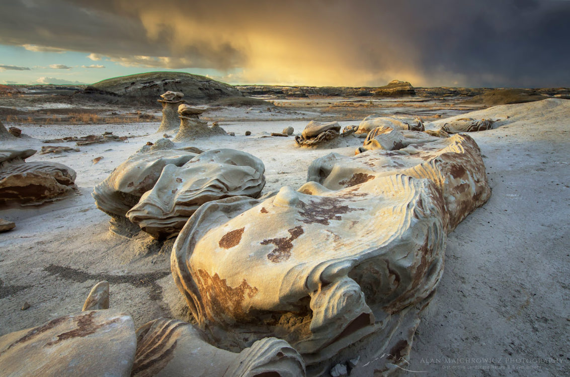 Bisti Badlands New Mexico - Alan Majchrowicz Photography