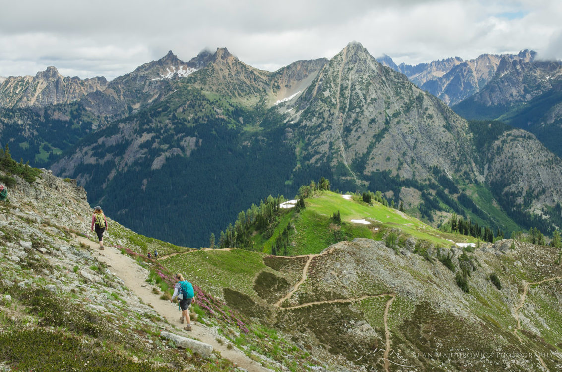 Maple Pass North Cascades - Alan Majchrowicz Photography