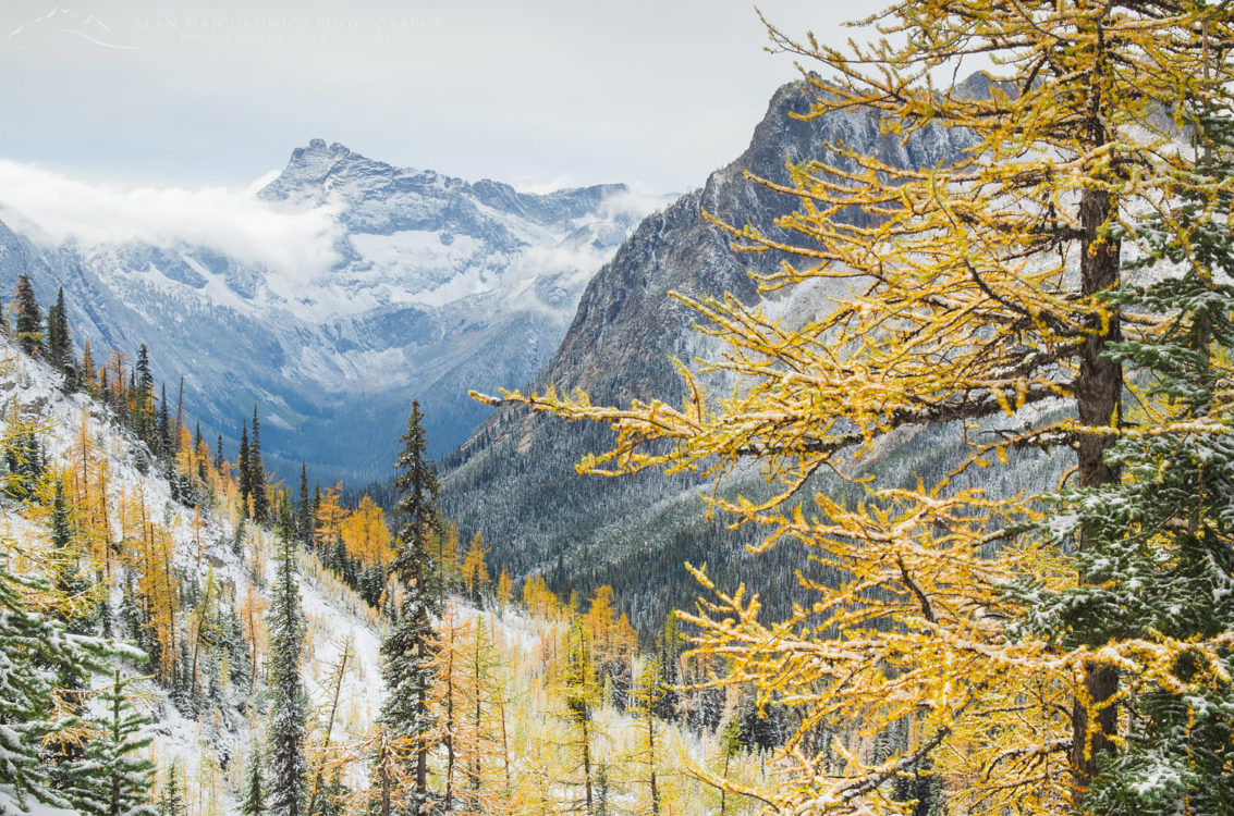 New Images Autumn North Cascades - Alan Majchrowicz Photography
