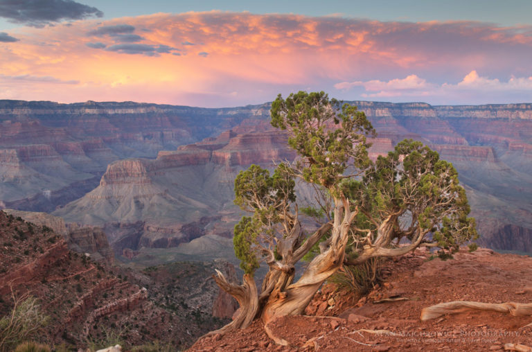 Dusk over the Grand Canyon from Cedar Ridge, Grand Canyon National Park ...