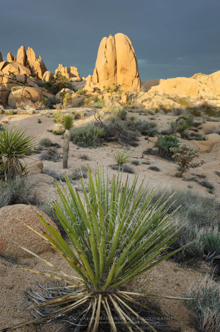 California - Alan Majchrowicz Photography Fine Art Landscape Photography