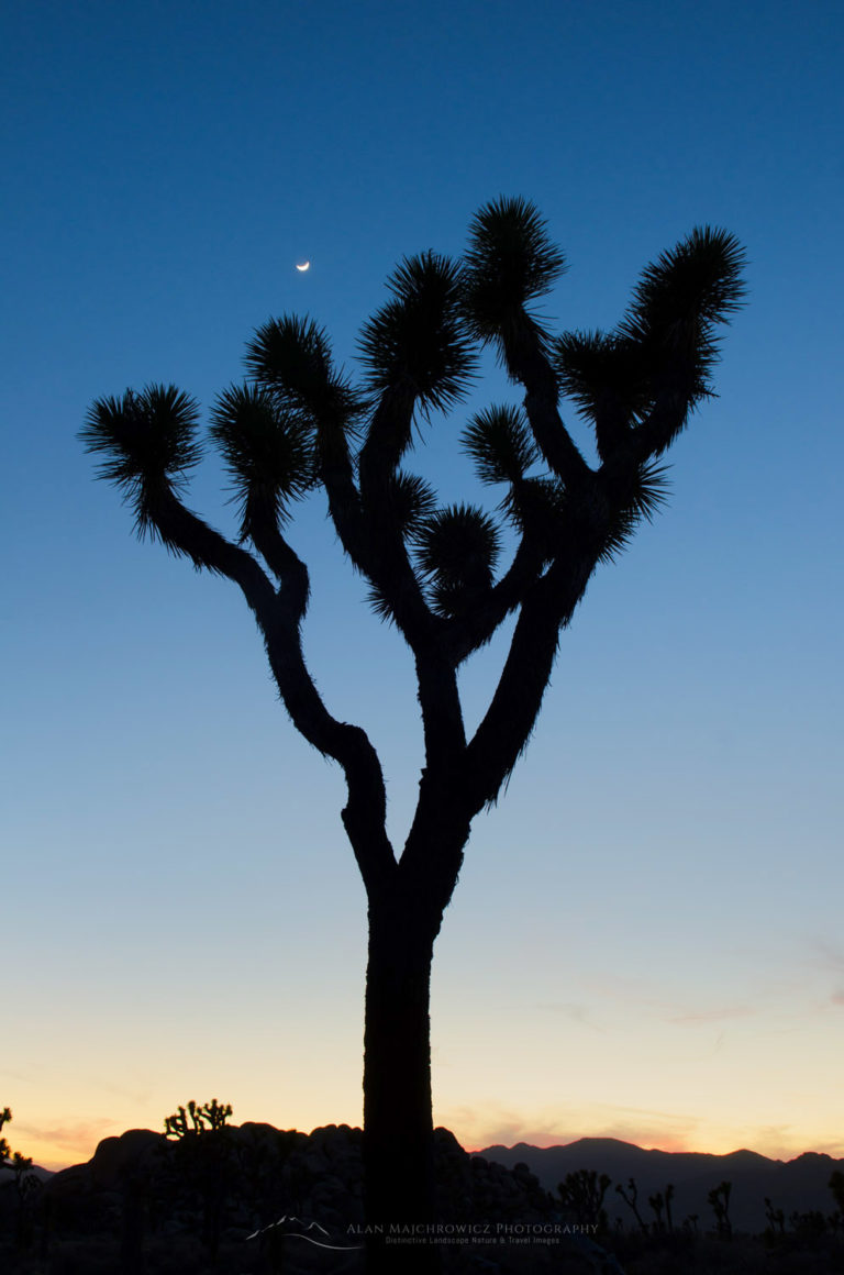California - Alan Majchrowicz Photography Fine Art Landscape Photography