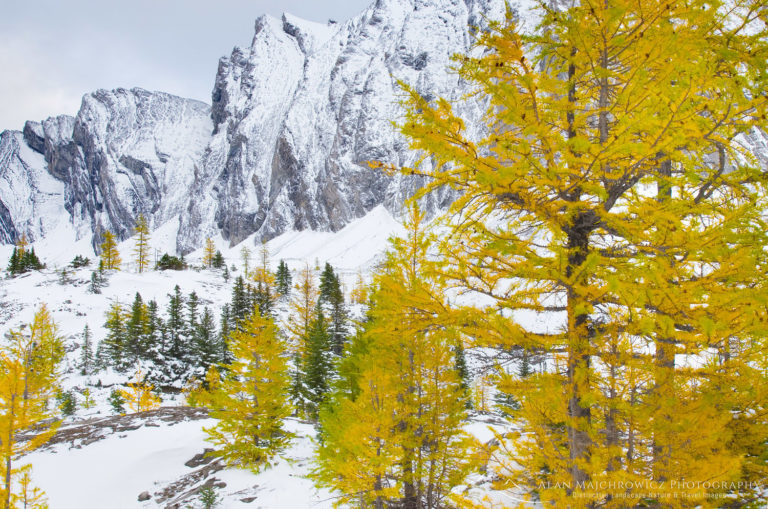 Alberta - Alan Majchrowicz Photography Fine Art Landscape Photography