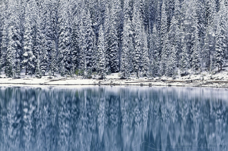 Nature Study - Alan Majchrowicz Photography Fine Art Landscape Photography