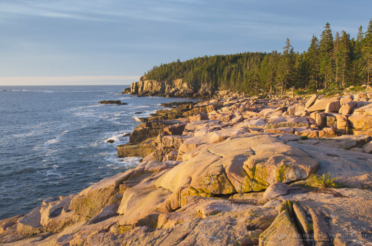 Otter Cliffs Acadia National Park - Alan Majchrowicz Photography