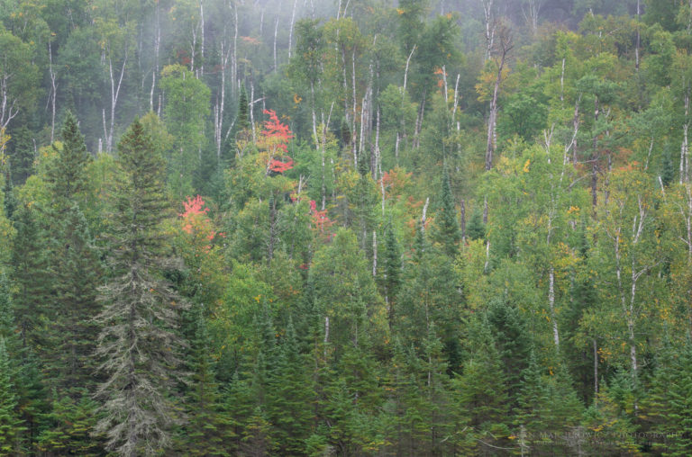 Superior National Forest Minnesota - Alan Majchrowicz Photography