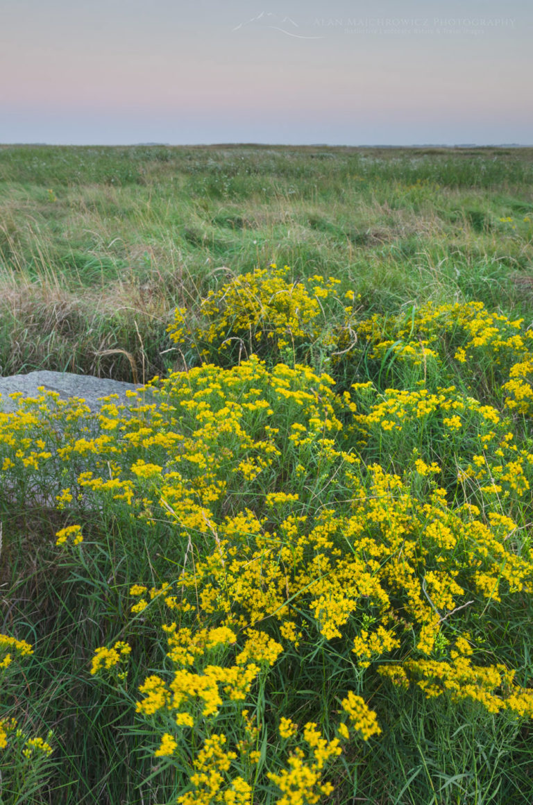 Minnesota - Alan Majchrowicz Photography Fine Art Landscape Photography
