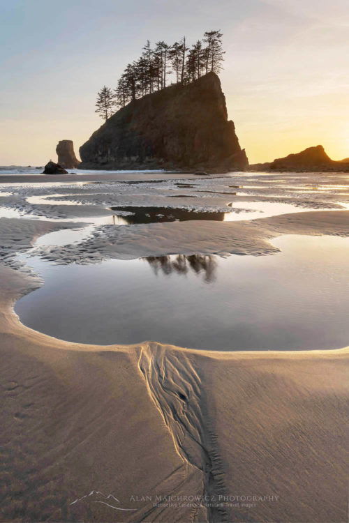 Second Beach Olympic National Park - Alan Majchrowicz Photography