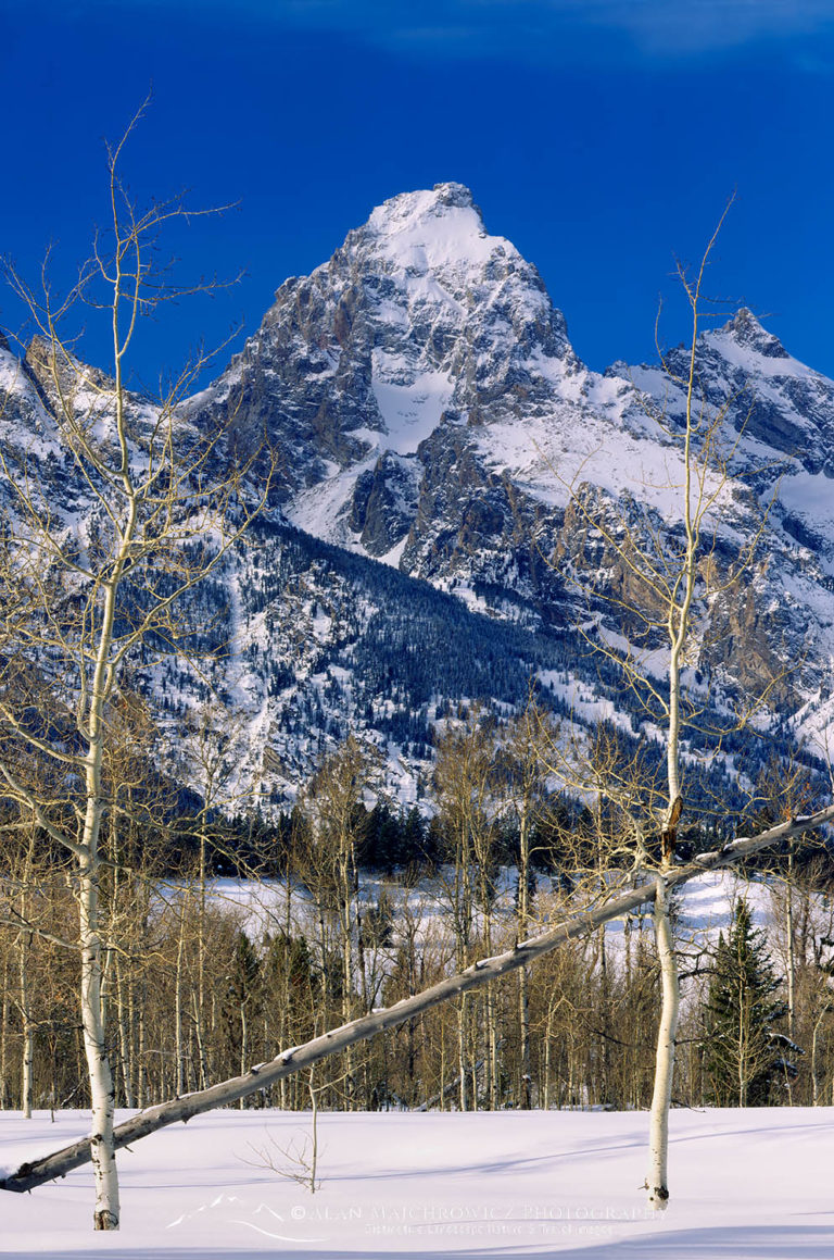 Grand Teton National Park - Alan Majchrowicz Photography