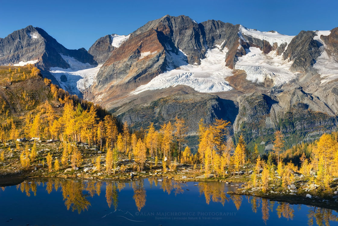 North Cascades Larch Madness - Alan Majchrowicz Photography