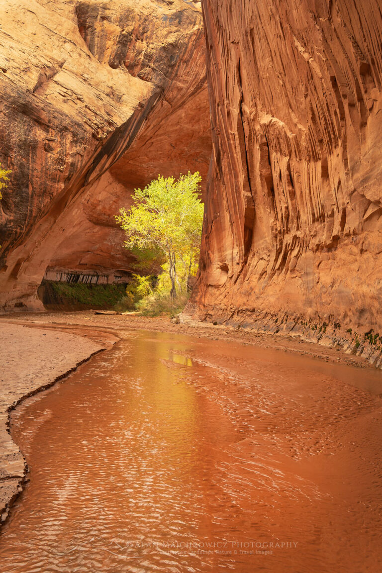 Glen Canyon National Recreation Area - Alan Majchrowicz Photography