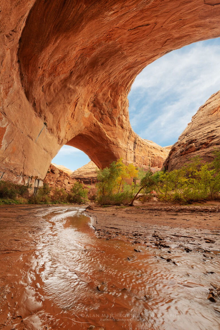 Jacob Hamblin Arch Coyote Gulch - Alan Majchrowicz Photography