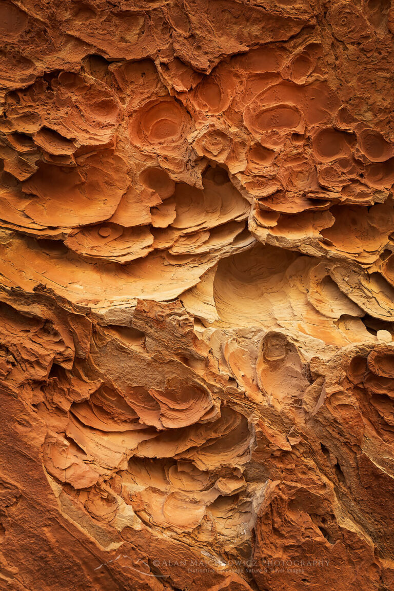 Sandstone erosion patterns - Alan Majchrowicz Photography
