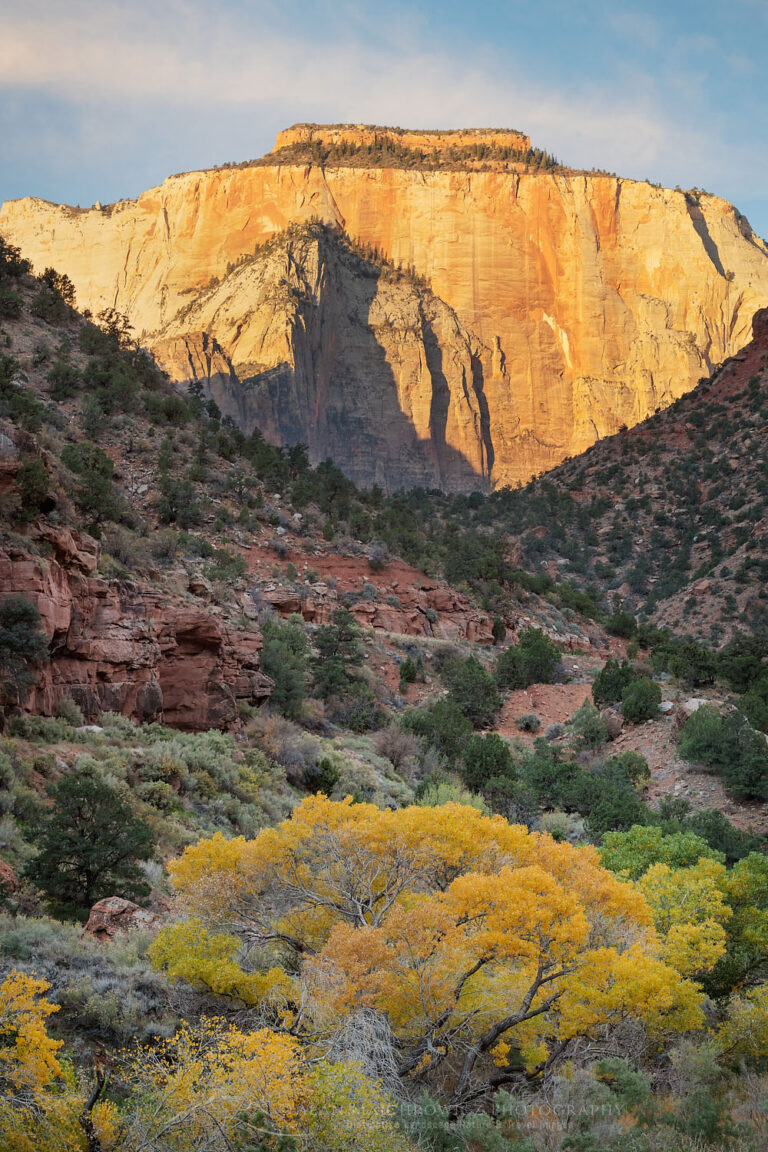 The West Temple Zion National Park - Alan Majchrowicz Photography