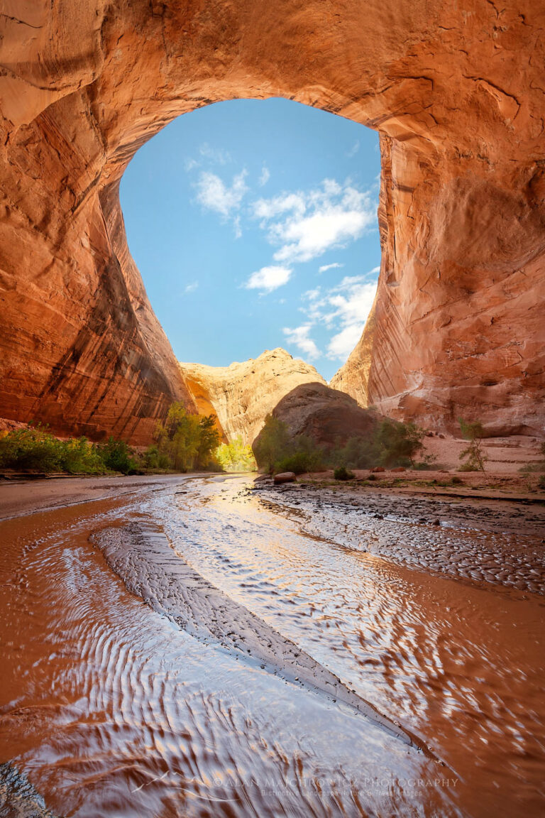 Glen Canyon National Recreation Area - Alan Majchrowicz Photography