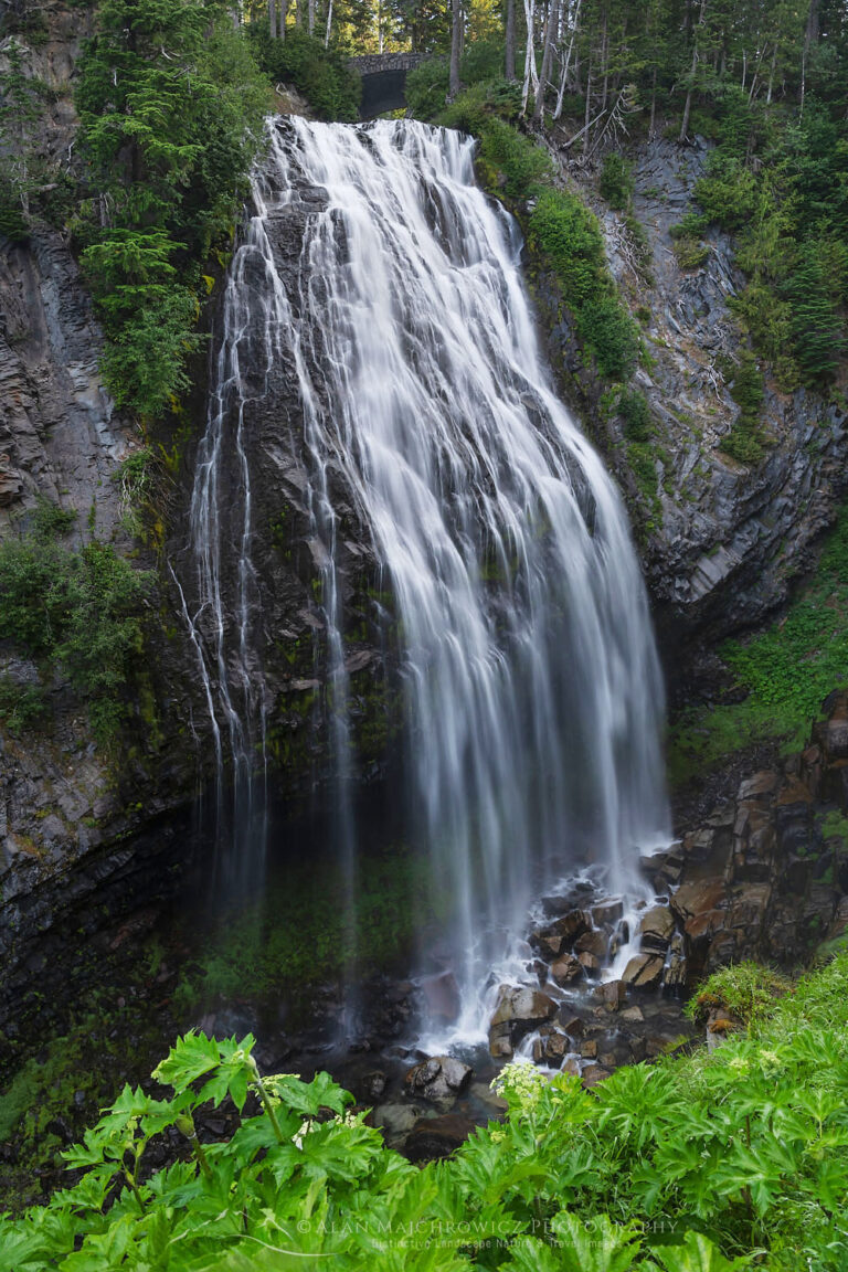 Narada Falls Mount Rainier National Park - Alan Majchrowicz Photography