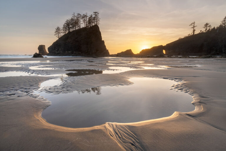 Second Beach Olympic National Park - Alan Majchrowicz Photography