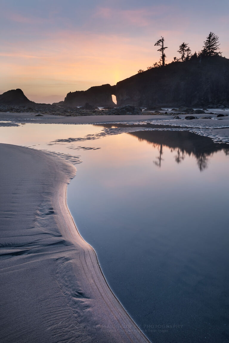 Second Beach Olympic National Park - Alan Majchrowicz Photography