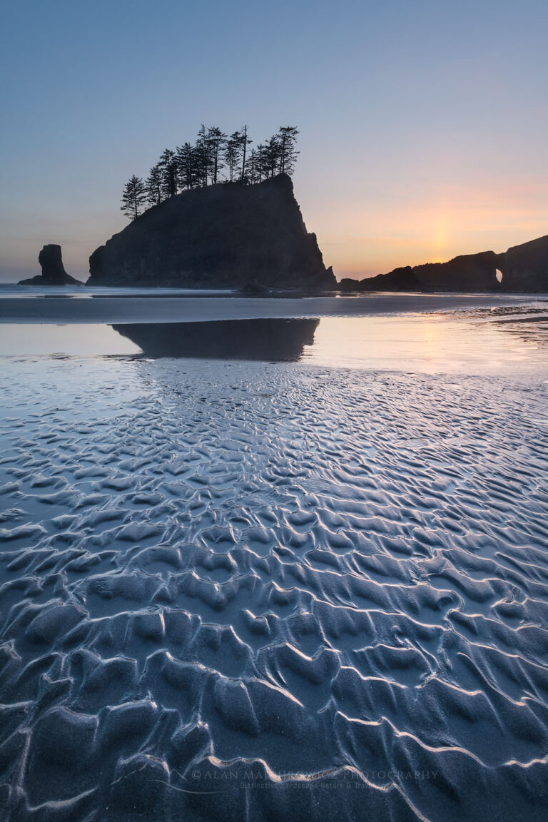 Second Beach Olympic National Park - Alan Majchrowicz Photography