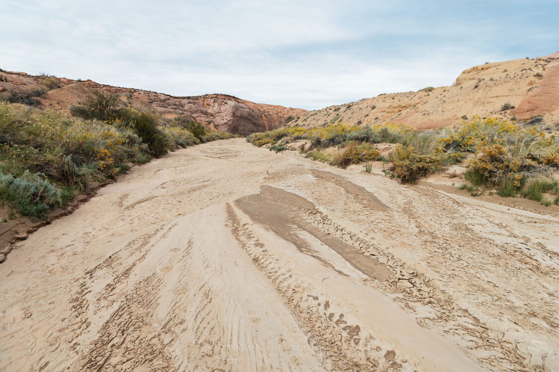 Coyote Gulch Backpacking Photography - Alan Majchrowicz Photography