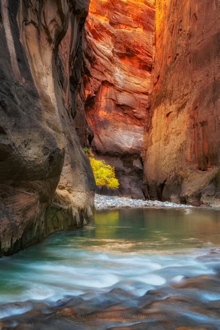 Zion Canyon Narrows - Alan Majchrowicz Photography