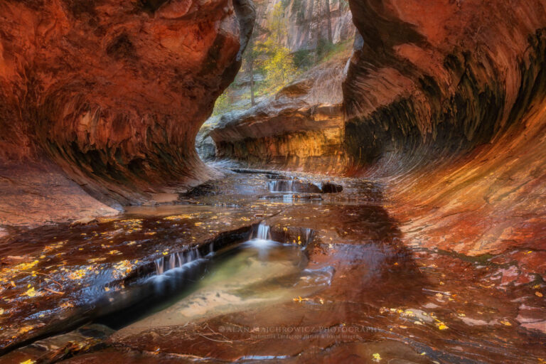 The Subway Zion National Park - Alan Majchrowicz Photography