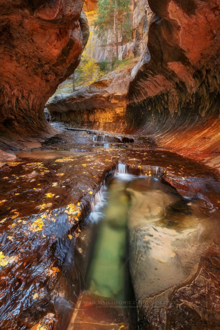 The Subway Zion National Park - Alan Majchrowicz Photography
