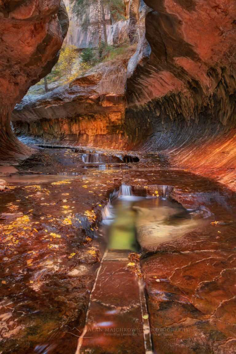 The Subway Zion National Park - Alan Majchrowicz