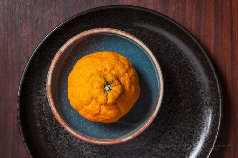 Sumo Mandarin Orange still life - Alan Majchrowicz Photography