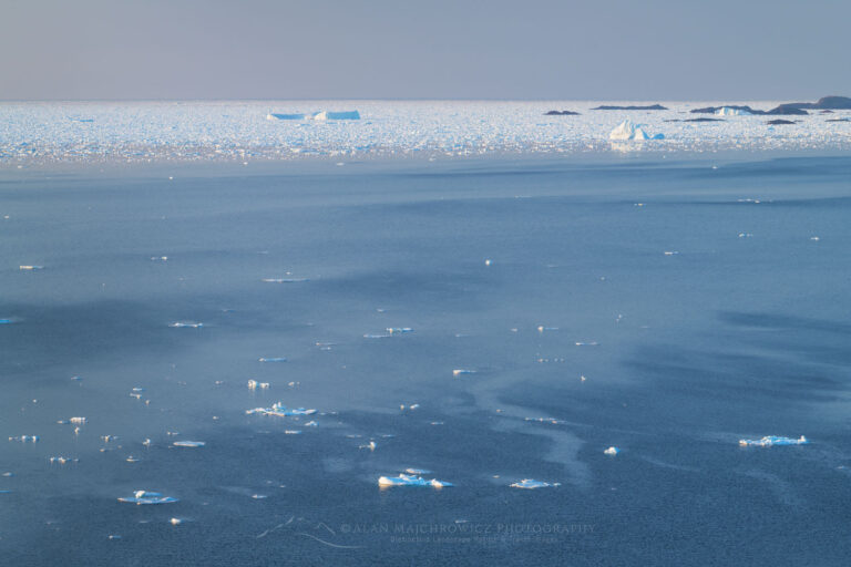 Pack ice Fogo Island Newfoundland - Alan Majchrowicz Photography