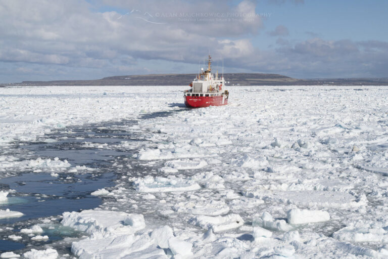 Icebreaker, Strait of Belle Isle Labrador - Alan Majchrowicz Photography