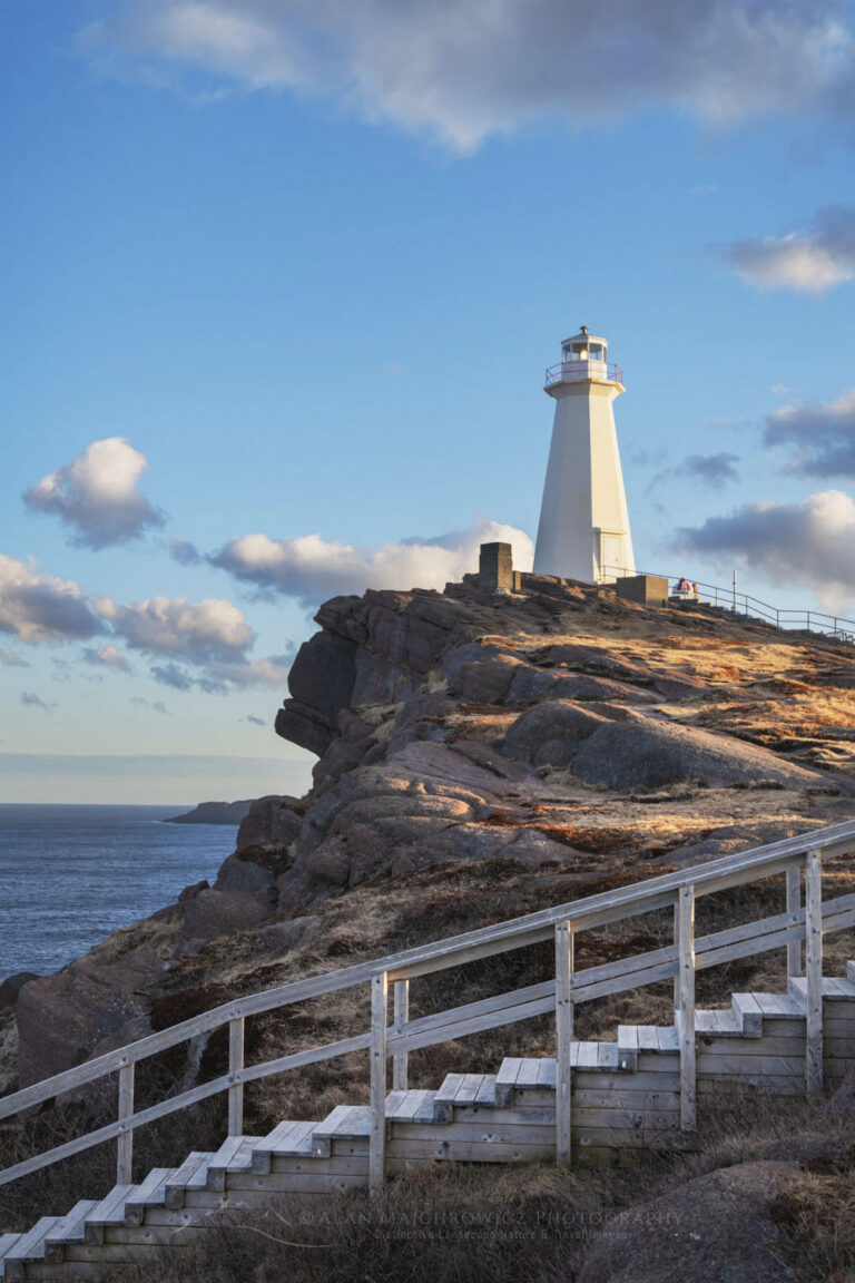 Newfoundland and Labrador 1 - Alan Majchrowicz Photography