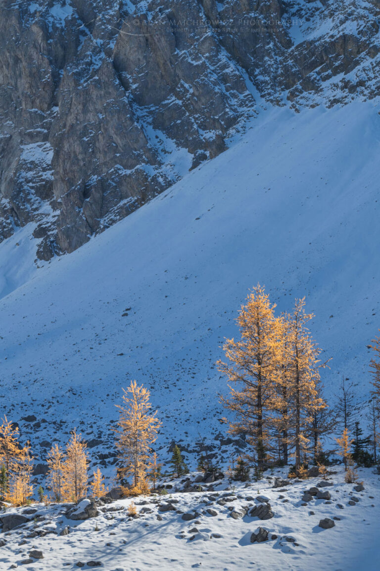 Alberta - Alan Majchrowicz Photography Fine Art Landscape Photography