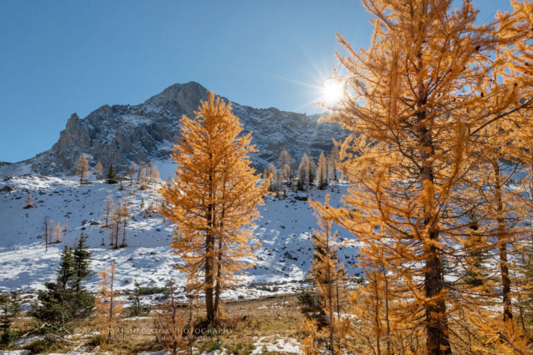 Alberta - Alan Majchrowicz Photography Fine Art Landscape Photography