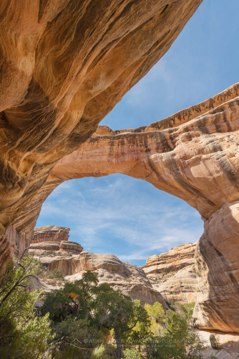 Sipapu Bridge. Natural Bridges National Monument - Alan Majchrowicz ...