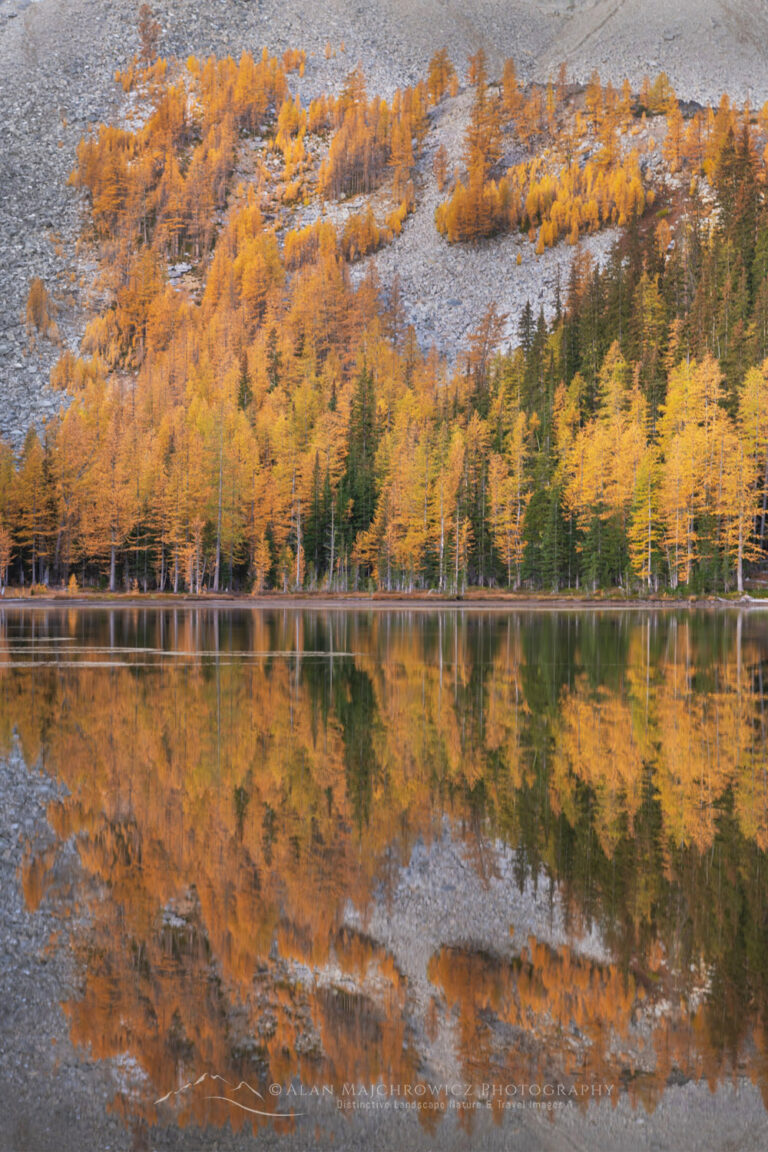 Subalpine Larches North Cascades - Alan Majchrowicz Photography